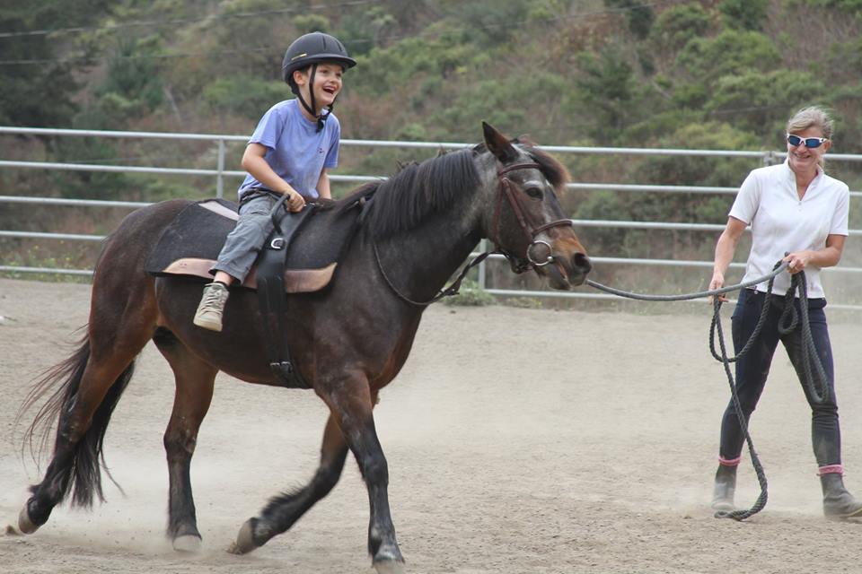 Current Program Horses – Square Peg Foundation