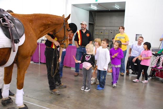 Current Program Horses – Square Peg Foundation