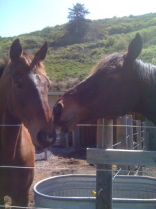 Square Peg Foundation