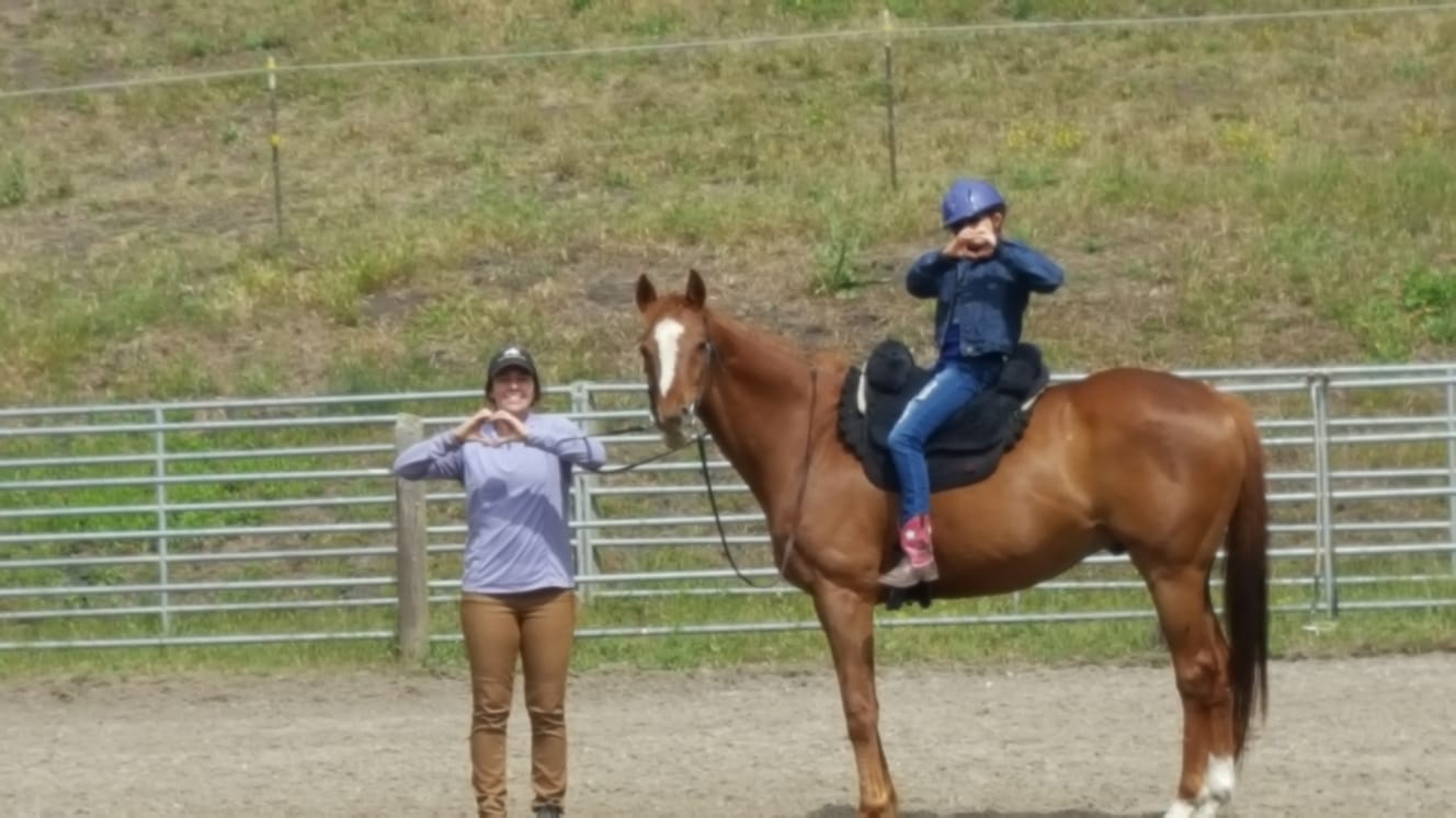 Current Program Horses – Square Peg Foundation