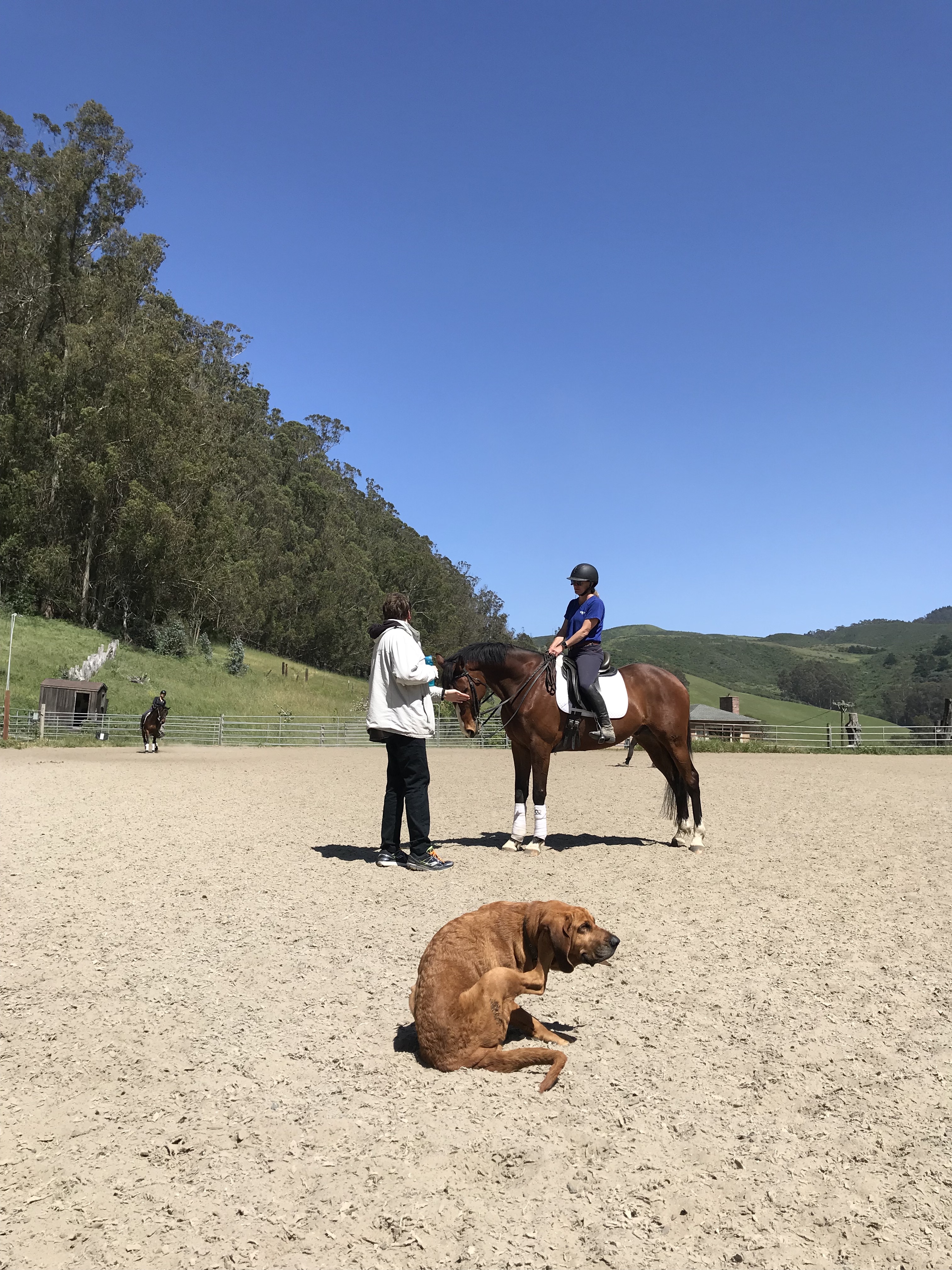 Respect the Struggles, Honor the Strengths – The True Nature of Teaching – Square Peg Foundation