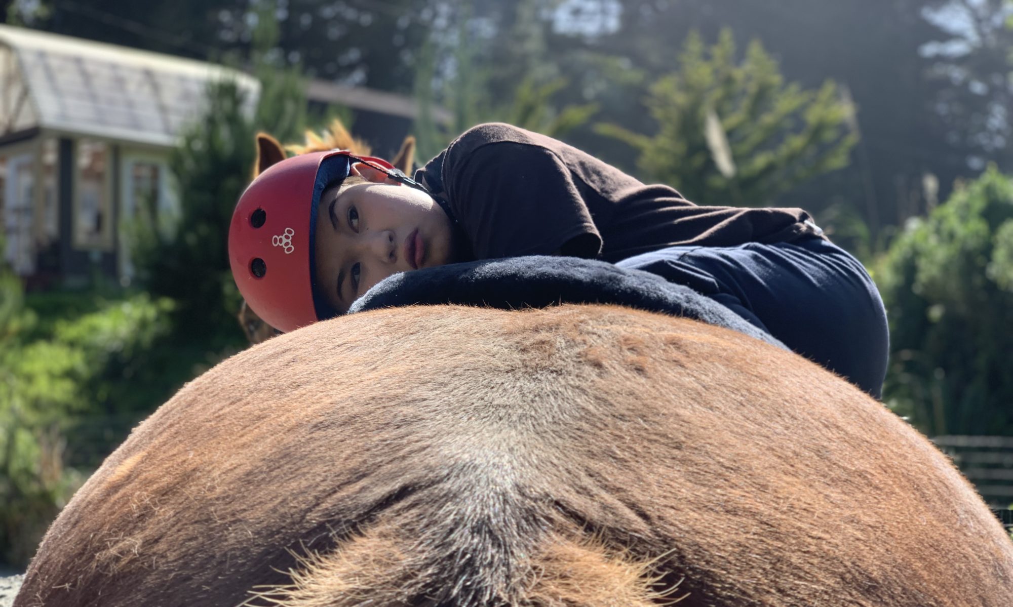 Job Training Program for Transitioning Young Adults – Square Peg Foundation