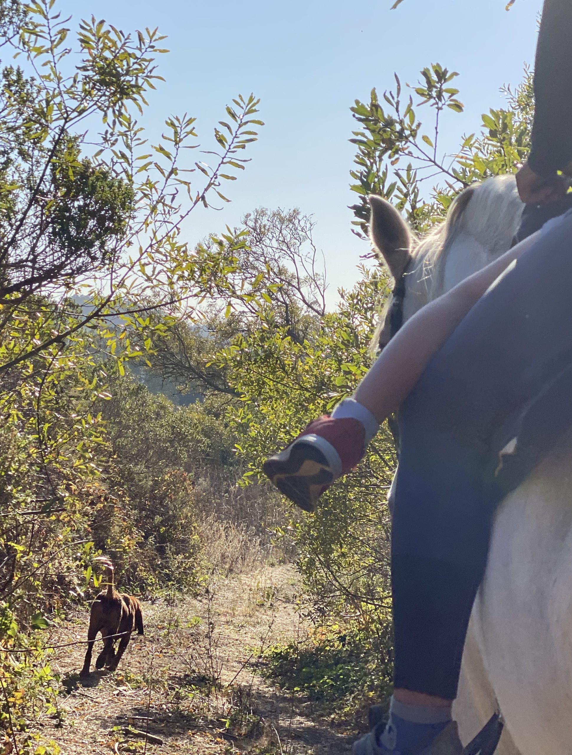 Giving Tuesday – Founder’s Story – Square Peg Foundation