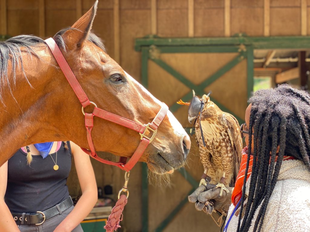 Donate – Square Peg Foundation