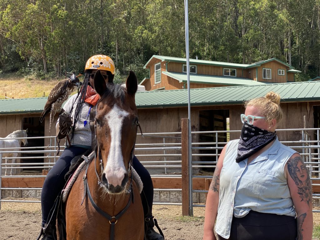 Donate – Square Peg Foundation