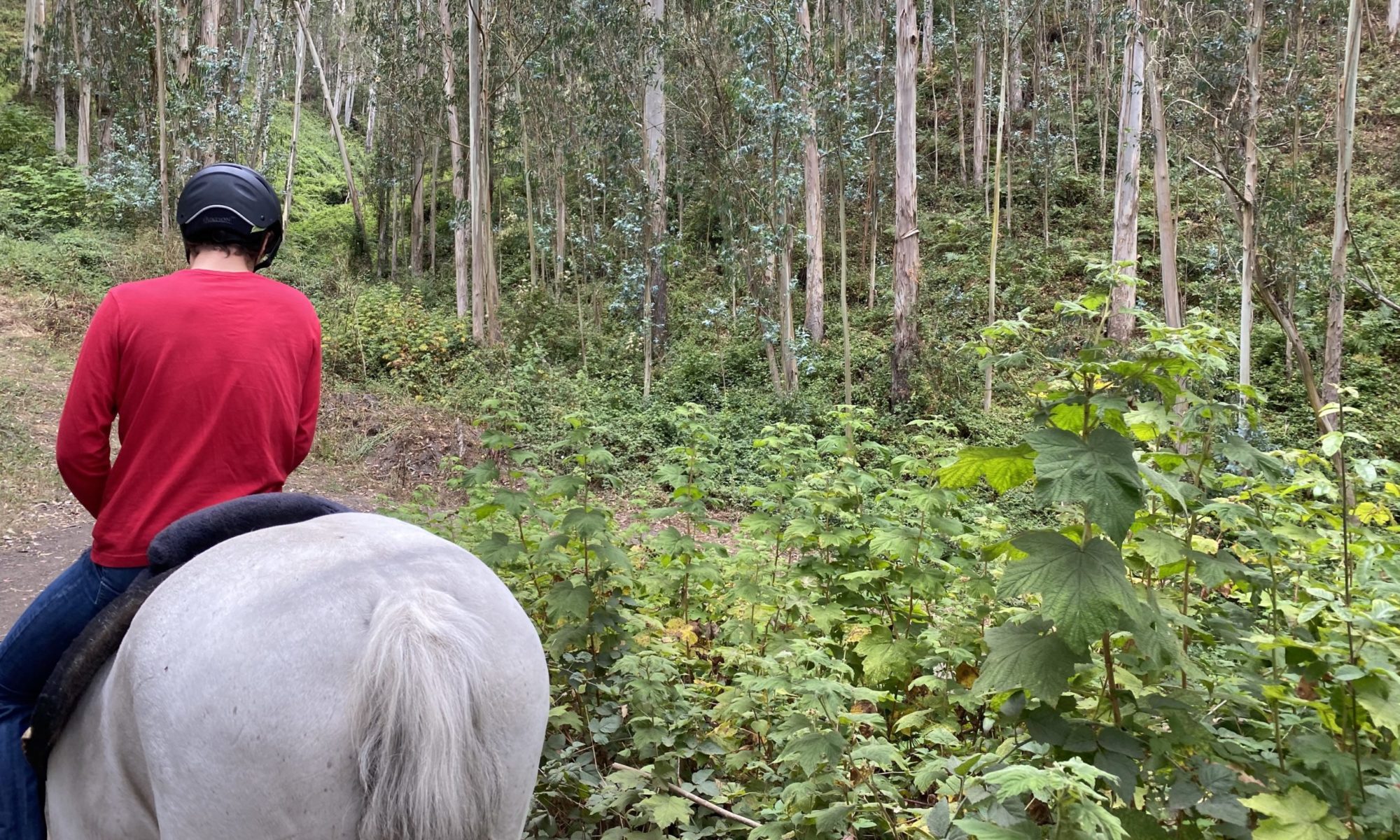 Contact Us – Square Peg Foundation