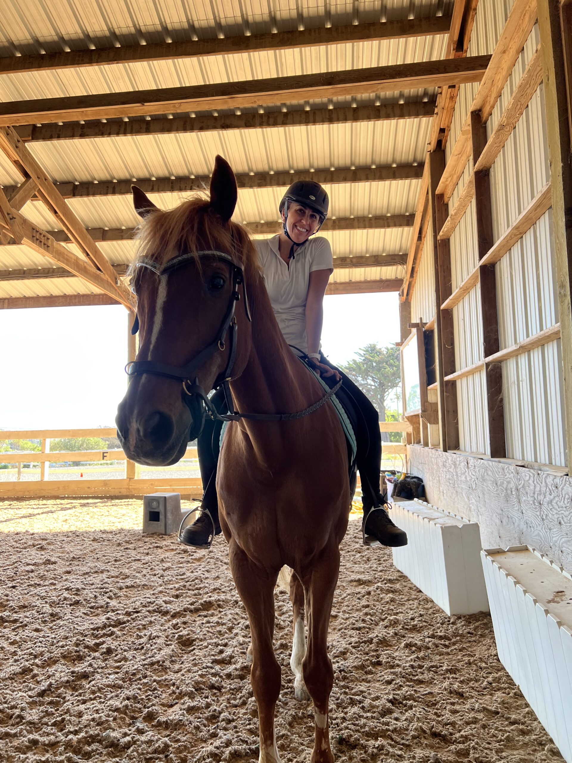 the Human Team – Square Peg Foundation