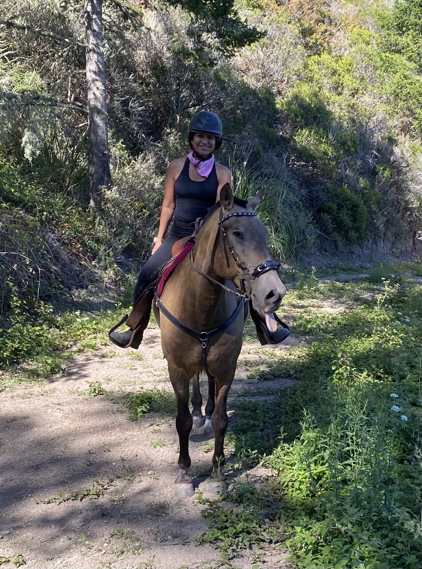 the Human Team – Square Peg Foundation