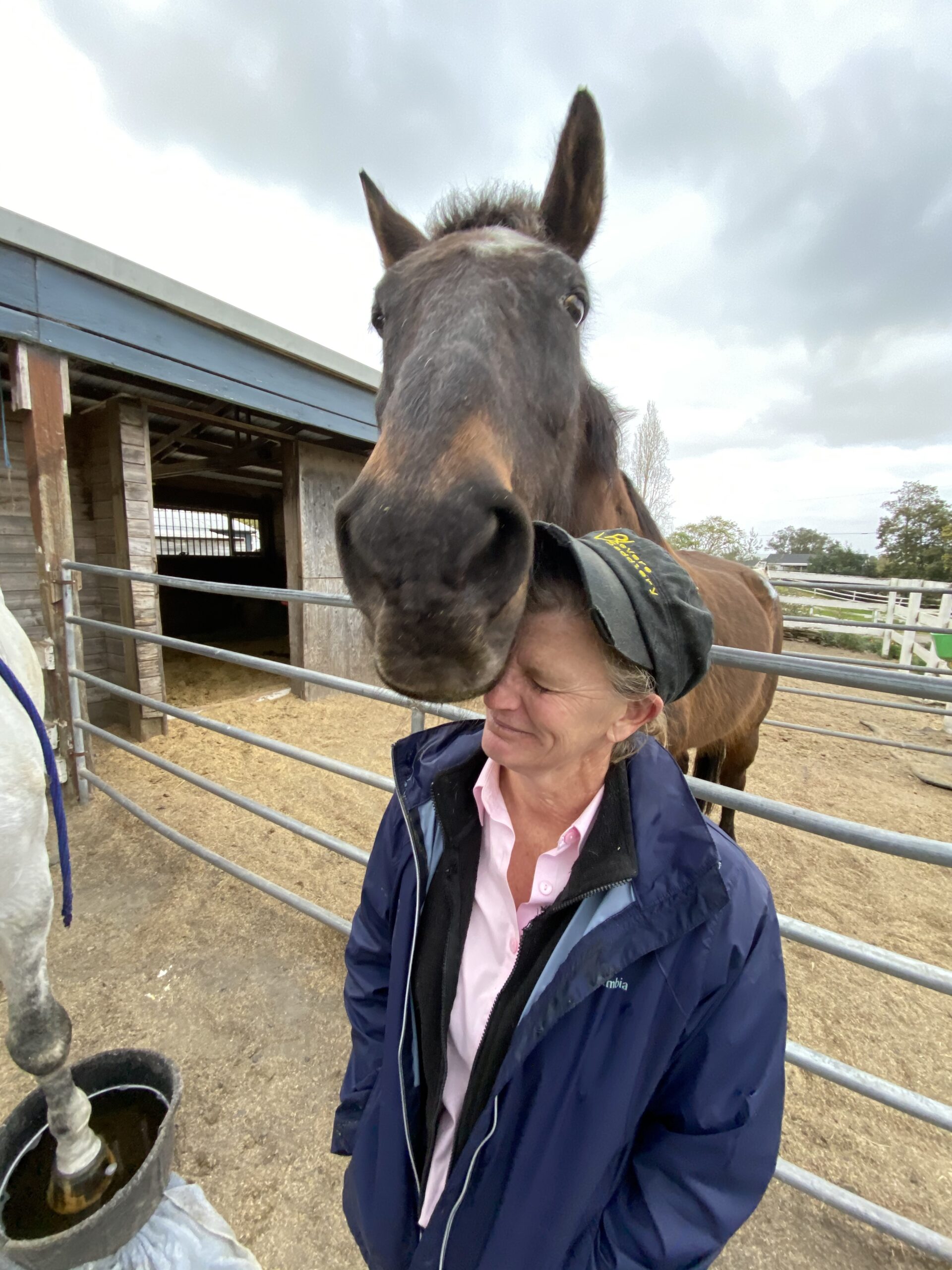 the Human Team – Square Peg Foundation